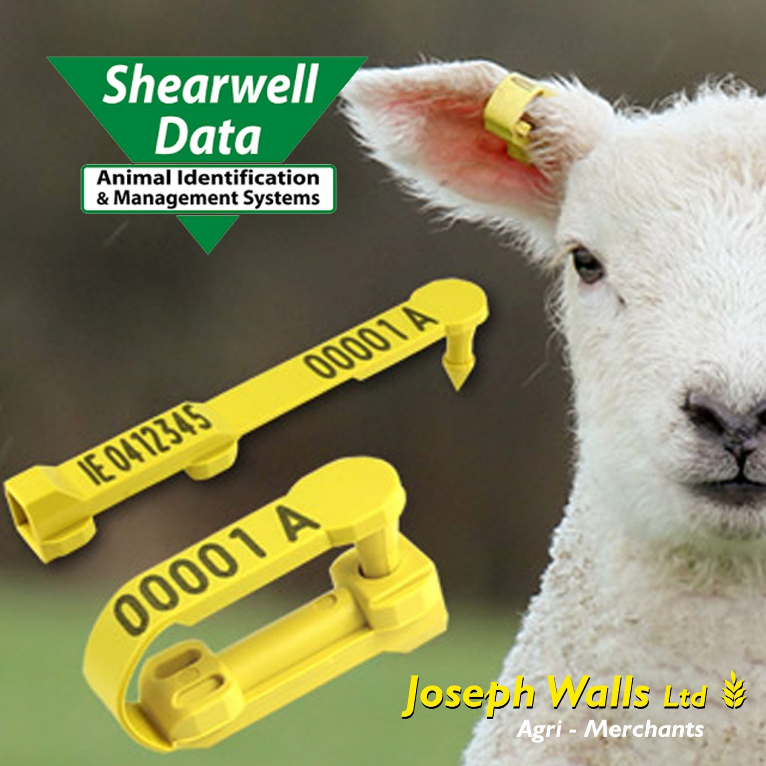 Shearwell Ear Tags Archives - Joseph Walls Agri Supplier