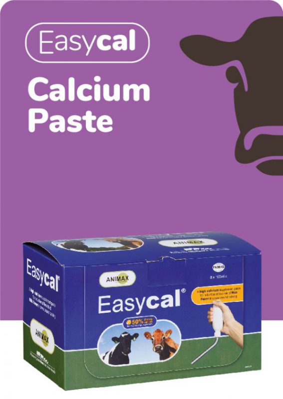 Animax Easycal Paste - 8 bottles & 1 applicator - Joseph Walls Agri ...